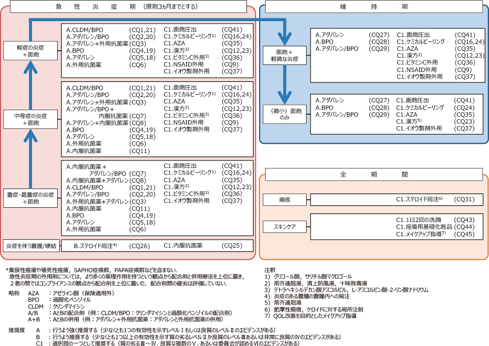 ざ瘡の治療 | マルホ 医療関係者向けサイト